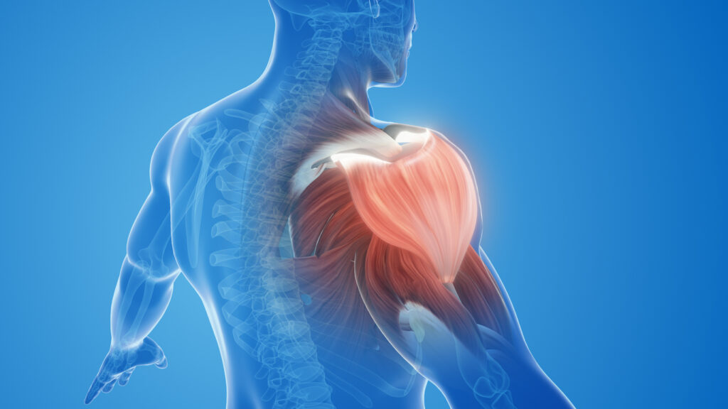 OTC Muscle Relaxer Options | We Level Up Washington